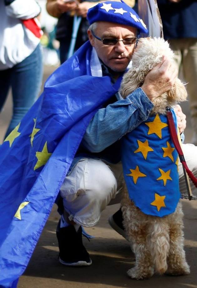 Dogs owners march on UK parliament demanding new Brexit ‘Wooferendum ...