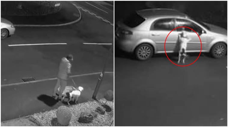 Man abandons dog on roadside; CCTV footage capture the heartbreaking ...