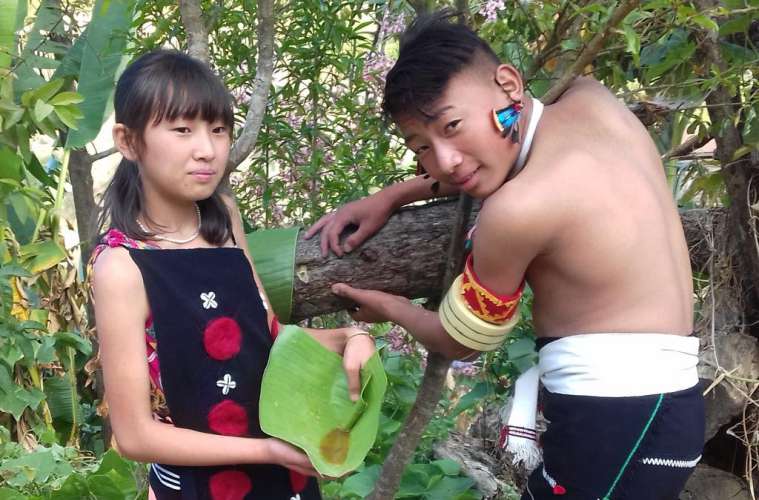 In Nagaland, a designated day to celebrate its bees | North East India ...