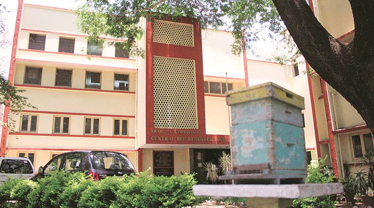 At city institute, prison inmates, jailers take lessons together: in ...