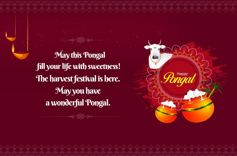 Happy Pongal 2019 Wishes Images, Quotes, Status, SMS, Messages, HD ...