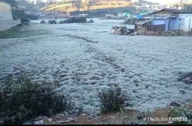 Mercury dips in Kerala; Munnar covered with frost | India News News ...