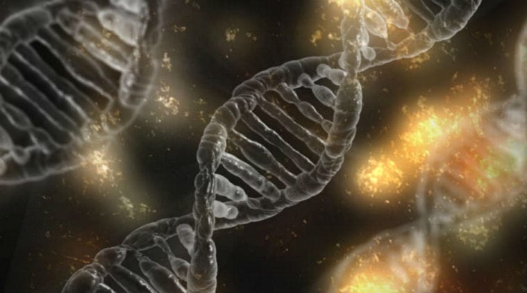 New DNA-like molecule to aid search for alien life | Technology News ...