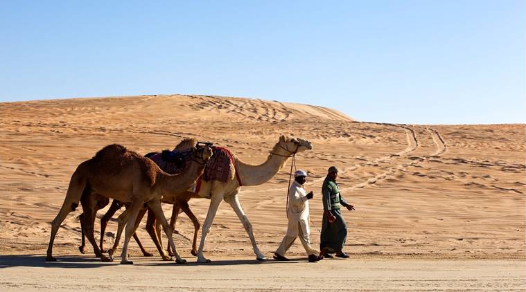 Malayalis in the Gulf are finally beginning to write about the land ...