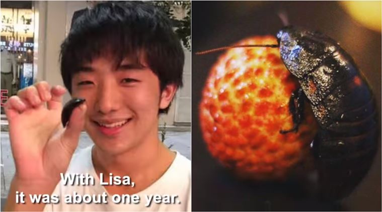 This Japanese man dated a cockroach for a year and ate it when it died ...