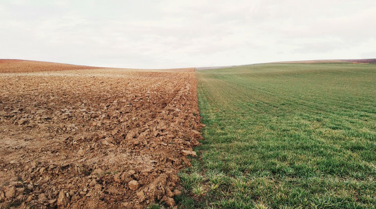 New method can restore fertility of oil-soaked soil | Technology News ...