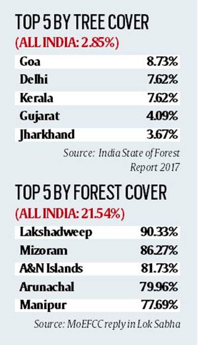 Tree cover, forest cover — How are the two different? | Explained News ...