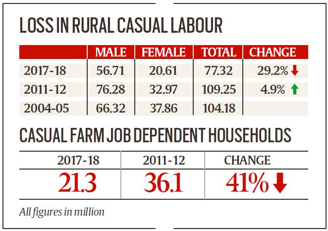 Casual farm labour shrinks by 40% since 2011-12, total job loss nearly ...