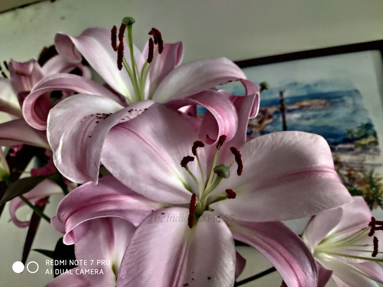 Redmi Note 7 Pro with 48MP camera: Here’s what we have learnt about the ...