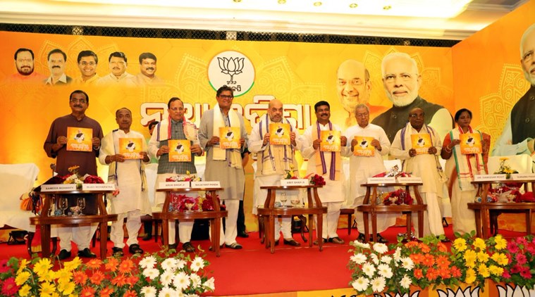 Lok Sabha election: BJP manifesto in Odisha promises new sops for women ...