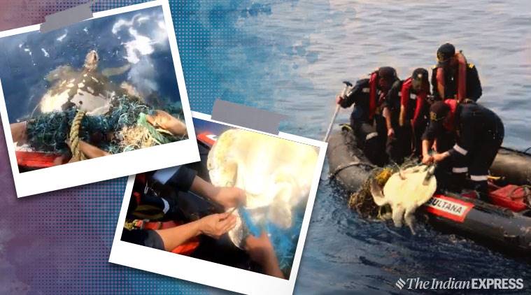 Netizens laud Indian Coast Guard rescue team for saving endangered ...