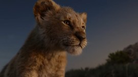 Latest News on Lion King: Get Lion King News Updates along with Photos ...
