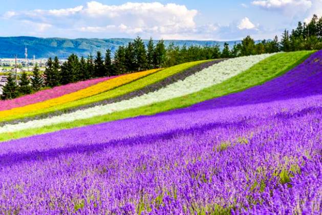 Breathtaking photos of the most vibrant landscapes around the world ...