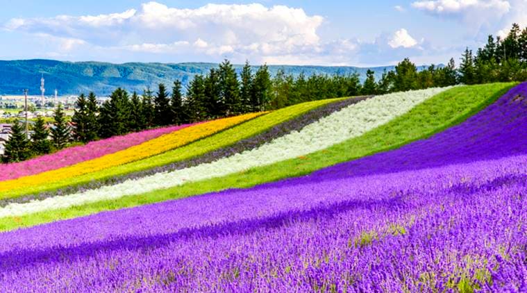 Breathtaking photos of the most vibrant landscapes around the world ...