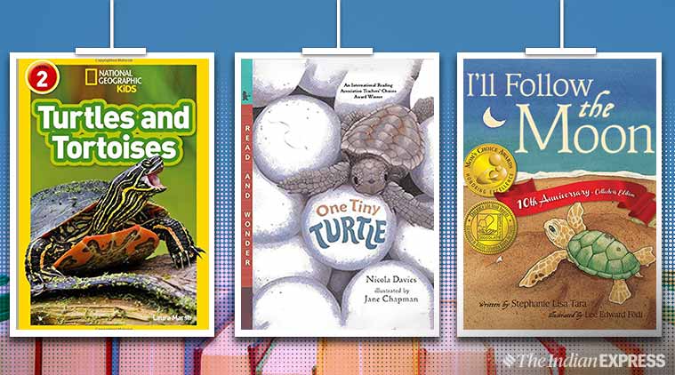 World Turtle Day: 11 children's books to learn more about turtles