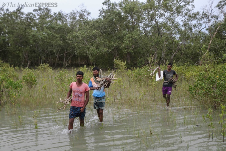 Why the Sundarbans has unwavering faith in Bon Bibi — a forest deity ...