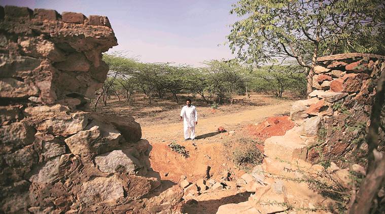 Area around Asola declared eco-sensitive, experts sceptical | Delhi ...