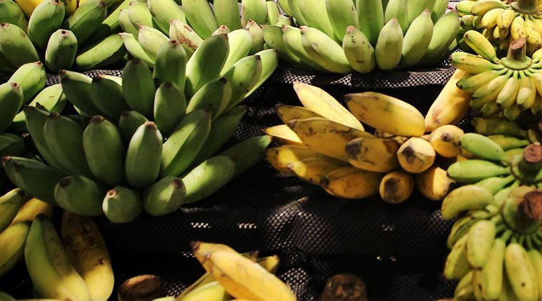 China is going crazy for Bananas | World News - The Indian Express