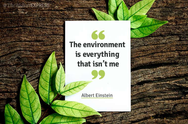 World Environment Day 2019: Theme, Slogans, Quotes, Images, Status ...