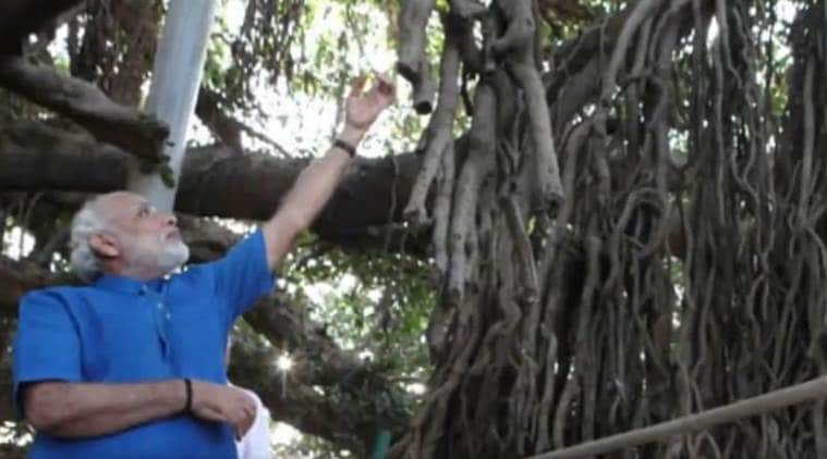 PM Narendra Modi World Environment Day video: ‘Living in harmony with ...