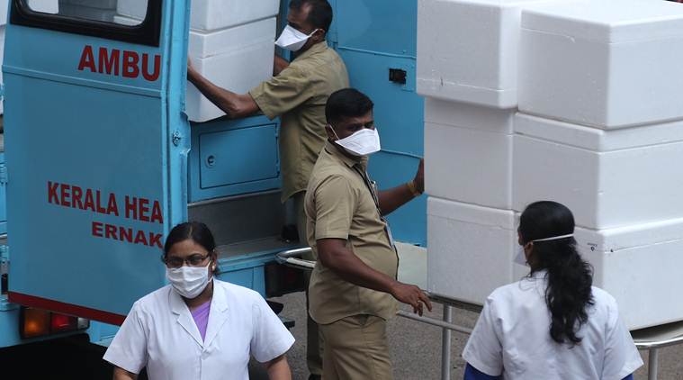 Nipah scare subsides: NIV team collects samples from fruit bats to ... Nipah scare subsides: NIV team collects samples from fruit bats to ...
