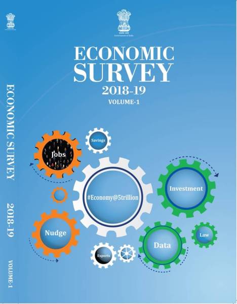 Here’s why the Economic Survey’s cover is blue | Business News - The ...