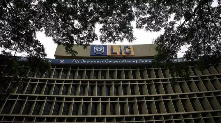 LIC’s FY19 profit from stock markets down 7.89 per cent | Business News ...