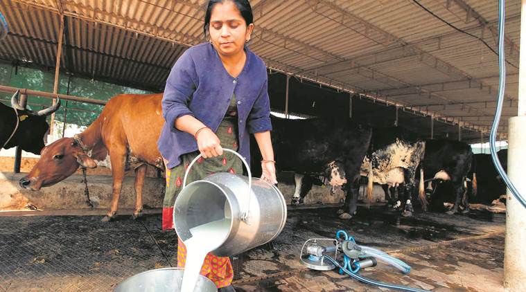 Livestock sector: A new ministry promises a new beginning | India News ...