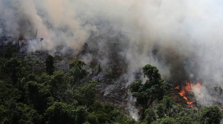 39,000 fires detected in Amazon rainforest this year — a 77% increase ...