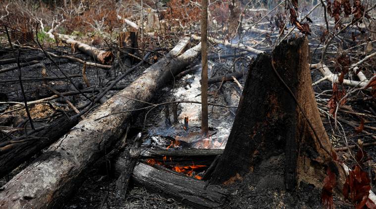 Amazon burning: What we know so far | World News,The Indian Express
