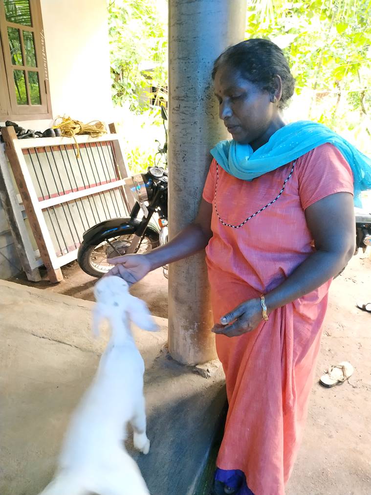Kavalappara landslide: How a hill in Western Ghats buried part of a ...