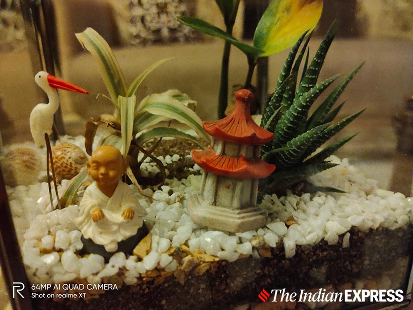 Realme XT’s 64MP cameras: A look at the camera samples | Technology ...