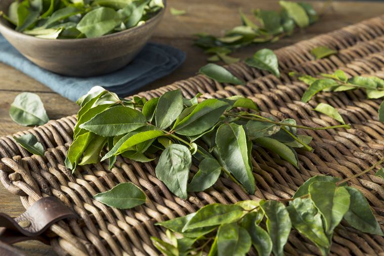 Curry leaves: Know the best way to consume them for maximum health ...