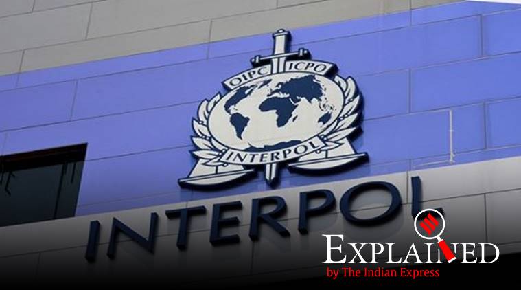 Explained: What is an Interpol Red Notice, what does it do? | Explained ...
