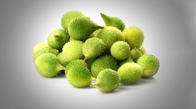 Know about the many health benefits of the spiny gourd or kantola ...