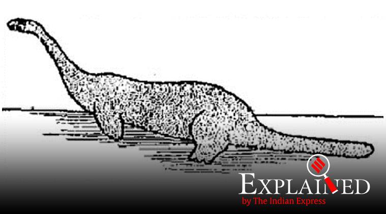 Fact Check: Was the ‘loch ness monster’ a giant eel? Here’s what DNA ...