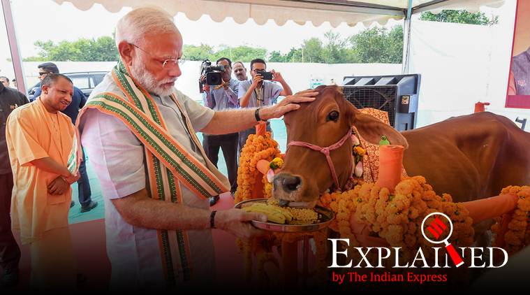 PM Modi launches NADCP: In Central programme, focus on animal health ...