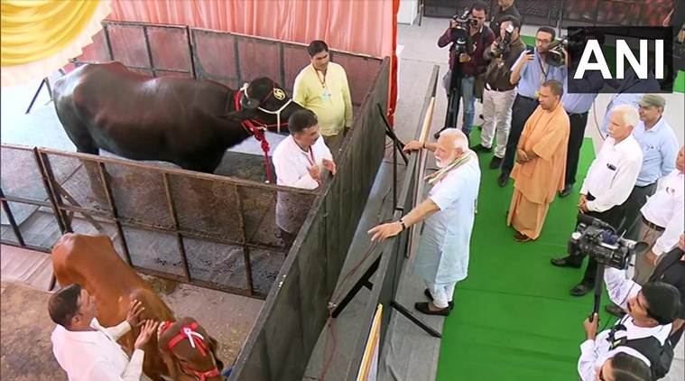 In Mathura, PM Modi launches Rs 12,000 crore vaccination scheme for ...