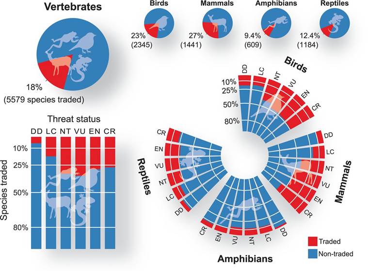 1 in 5 species: study looks at scale of global wildlife trade ...
