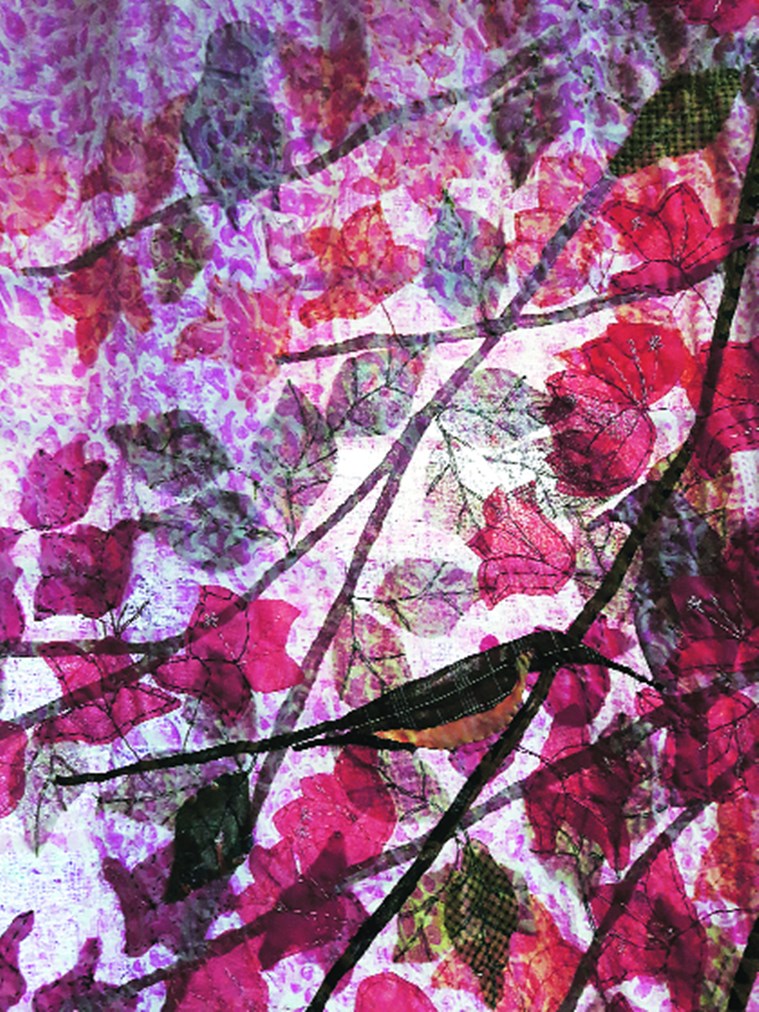 The last straw | Eye News,The Indian Express