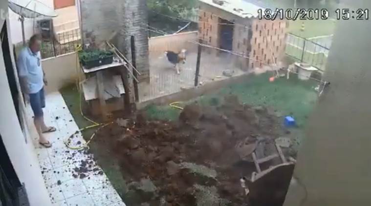 Watch: Brazilian tries to burn roach nest in backyard, sets off massive ...