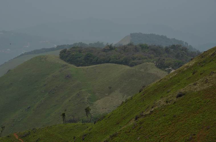 Why Manipur celebrates an annual festival in honour of this rare and ...