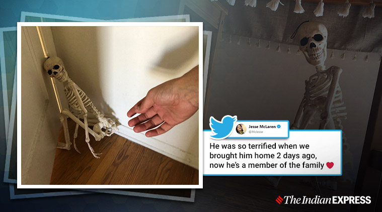 Man rescues ‘terrified’ skeleton and starts a hilarious thread of ...