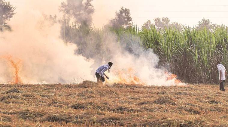 Punjab paddy stubble burning reaches highest figure of season on Oct 28 ...