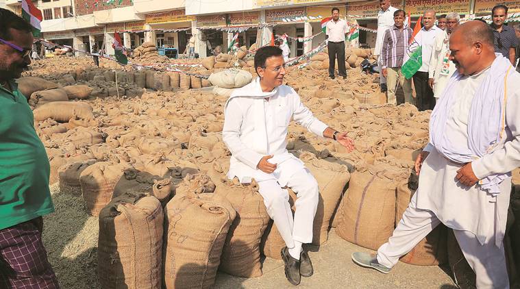 Haryana elections: BJP bid to polarise voters won’t work, says Randeep ...