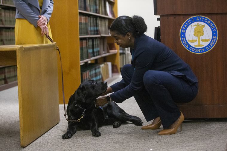 Adorable dog sworn in at state’s attorney’s office in Chicago ...