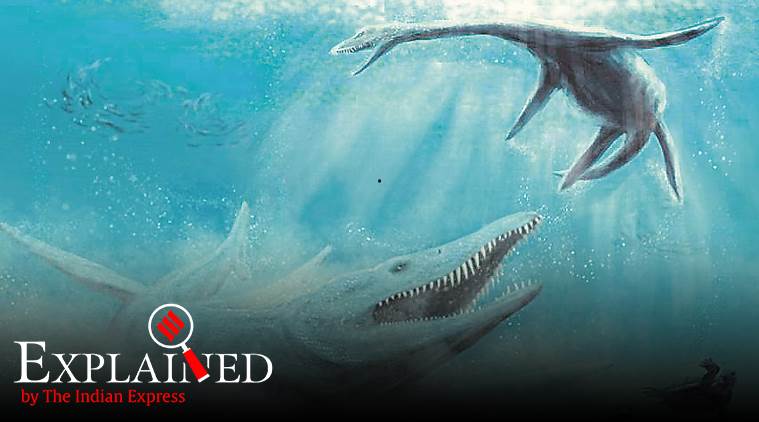 Explained: What is Pliosaur? | Explained News - The Indian Express