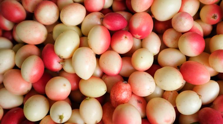 Here is why you should include karonda in your diet | Lifestyle News ...