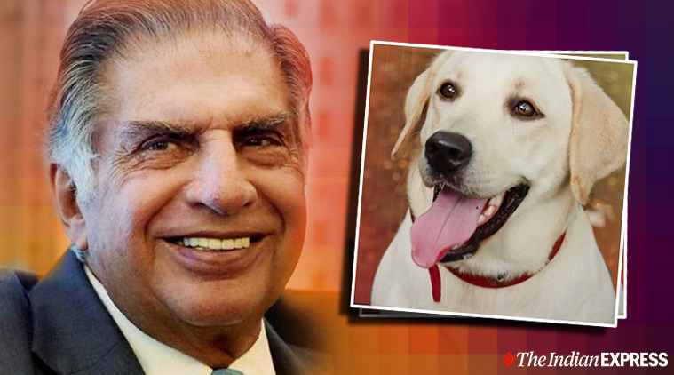 ‘Man with a golden heart’: Ratan Tata’s appeal to adopt abandoned dog ...