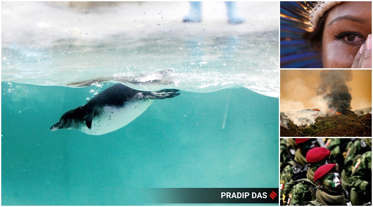 Week in pictures: A look at most compelling photos from around the ...